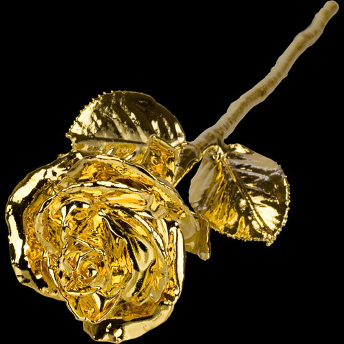 Send 17Inch 24Kt Gold Dipped Rose | Buy 17Inch 24Kt Gold Dipped Rose ... Send 17Inch 24Kt Gold Dipped Rose | Buy 17Inch 24Kt Gold Dipped Rose ...