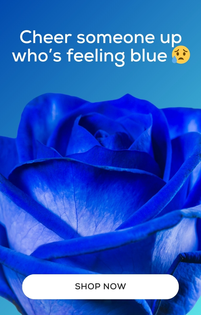 Rose Delivery at its finest | Free name-a-rose gift | interROSE