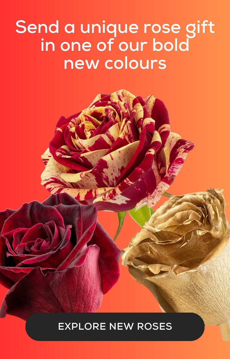 Rose Delivery at its finest | Free name-a-rose gift | interROSE