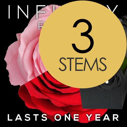 Rose Delivery at its finest | From 1 to 101 Roses | Infinity Roses | E ...