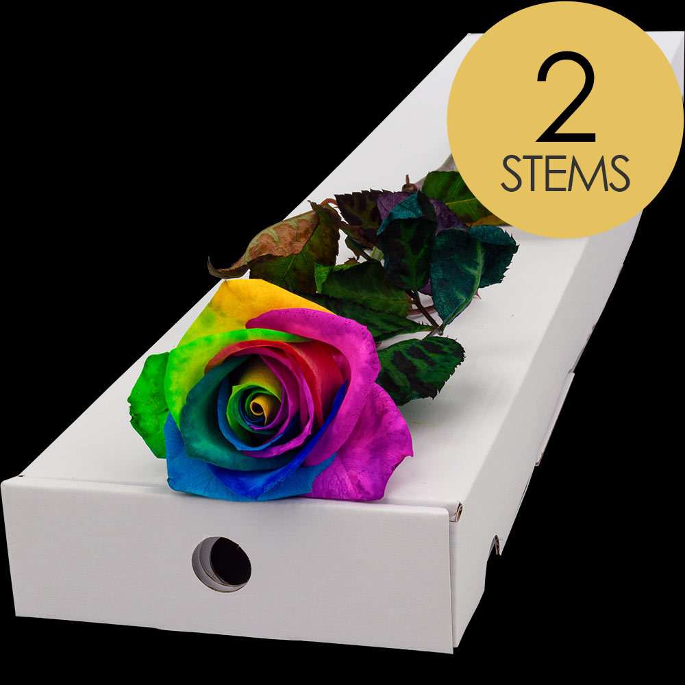 Rainbow Happy Rose Delivery at its finest from a real high street ...