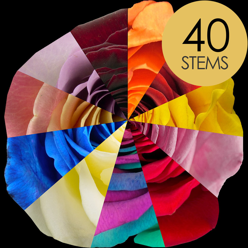 Buy 40 Long Stemmed Roses | interROSE