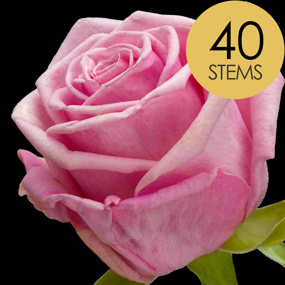 Buy 40 Long Stemmed Roses | interROSE