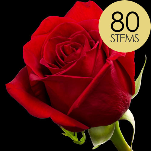 Buy 80 Long Stemmed Roses | interROSE