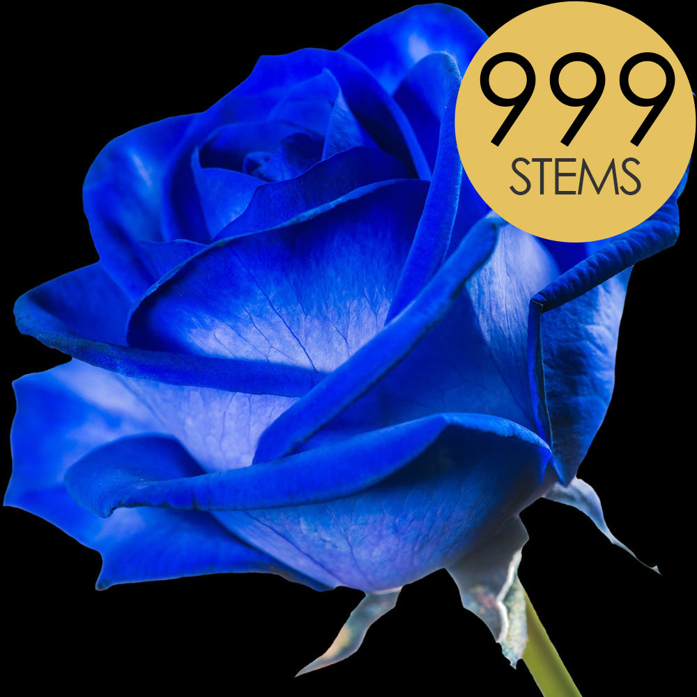 999 Roses - Say it with roses and you've said it all