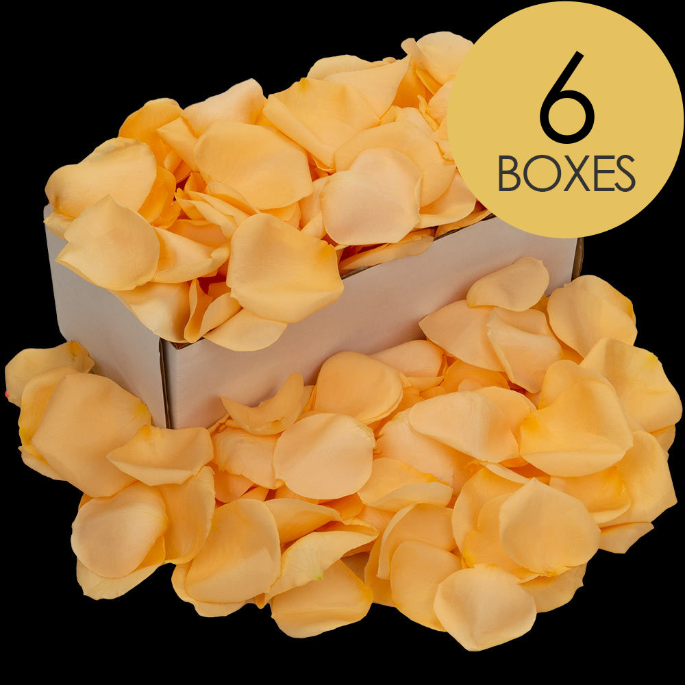 Rose Delivery at its finest | From 1 to 101 Roses | Infinity Roses | E ...