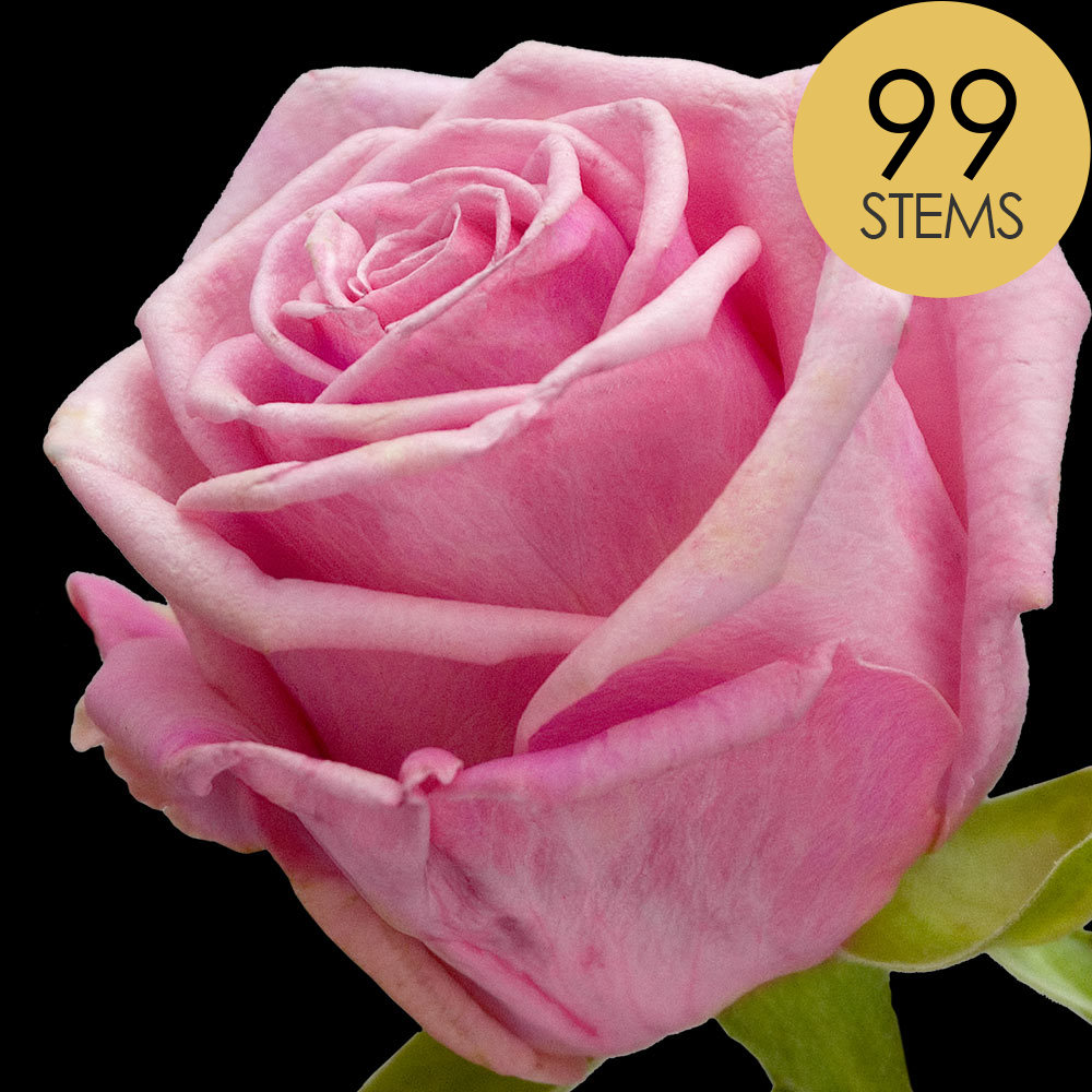 Buy 99 Pink Roses Online with Free Delivery