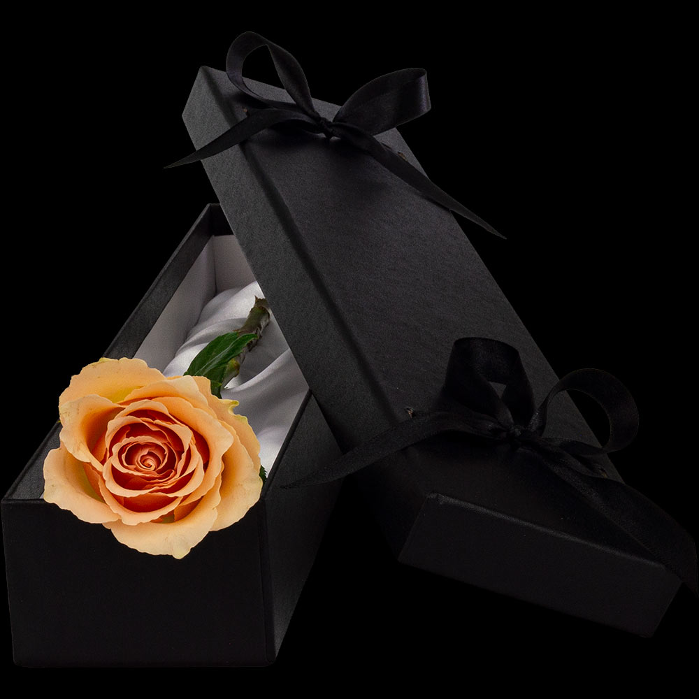Buy Single Luxury Peach Rose from a Real High Street Florist dedicated ...