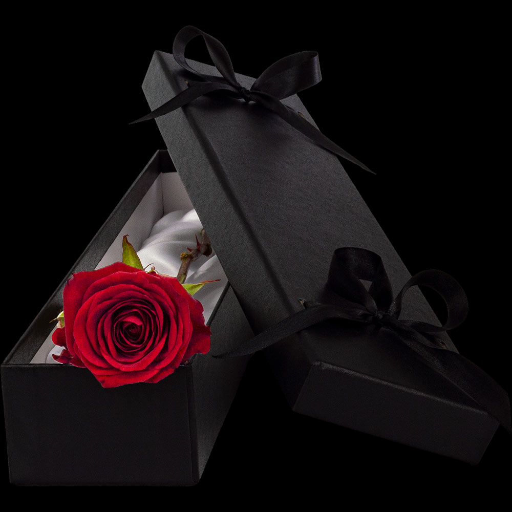Buy Single Luxury Red (Naomi) Rose from a Real High Street Florist ...