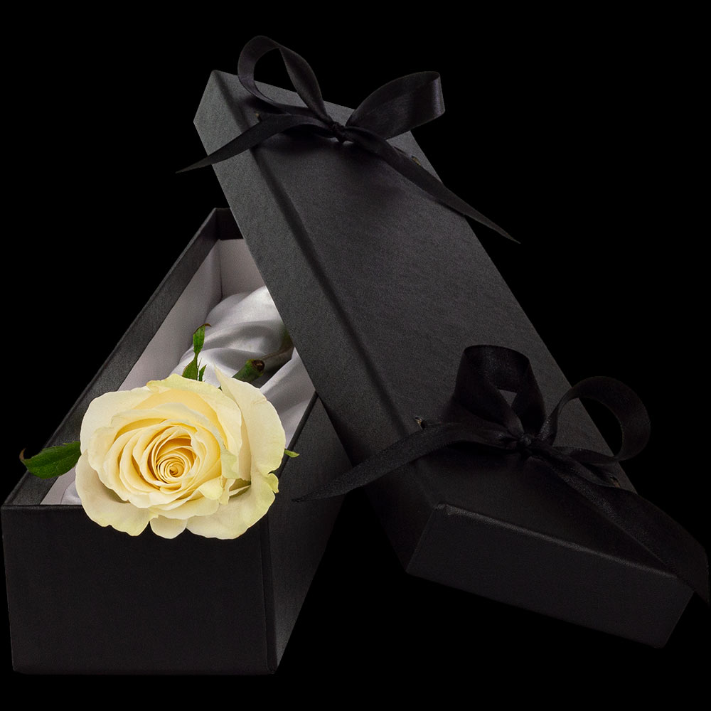 Buy Single Luxury White (Avalanche) Rose from a Real High Street ...