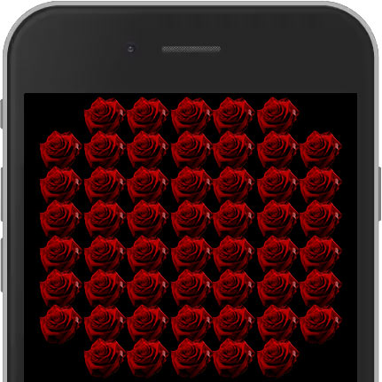 520 Chinese Valentine's Day | 520 Festival 我爱你 "I Love You" Roses | 521 ...