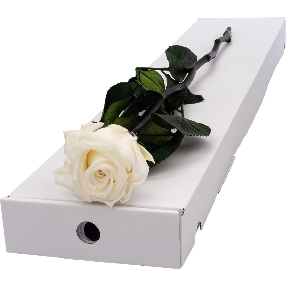 Single Roses by post delivered with free name-a-rose gift worth £4.99